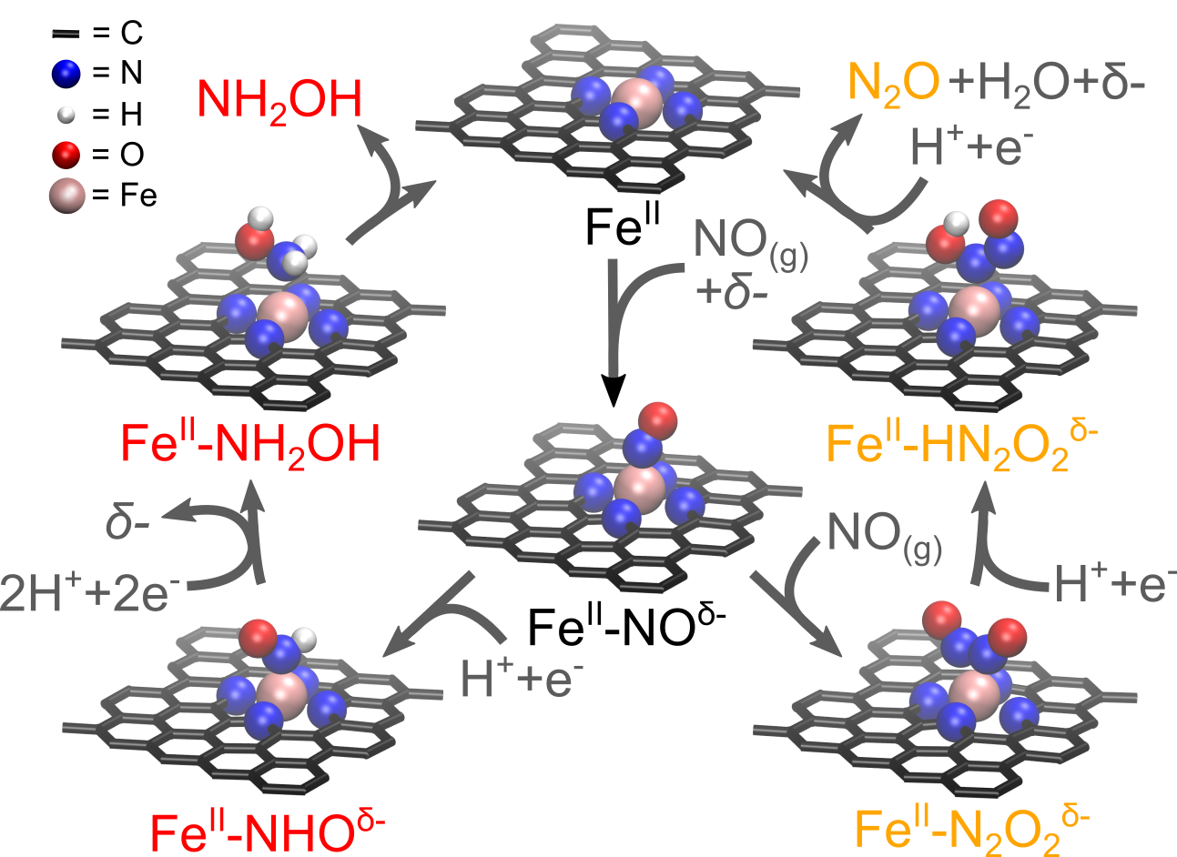 Selective electrochemical reduction of nitric oxide to hydroxylamine by ...