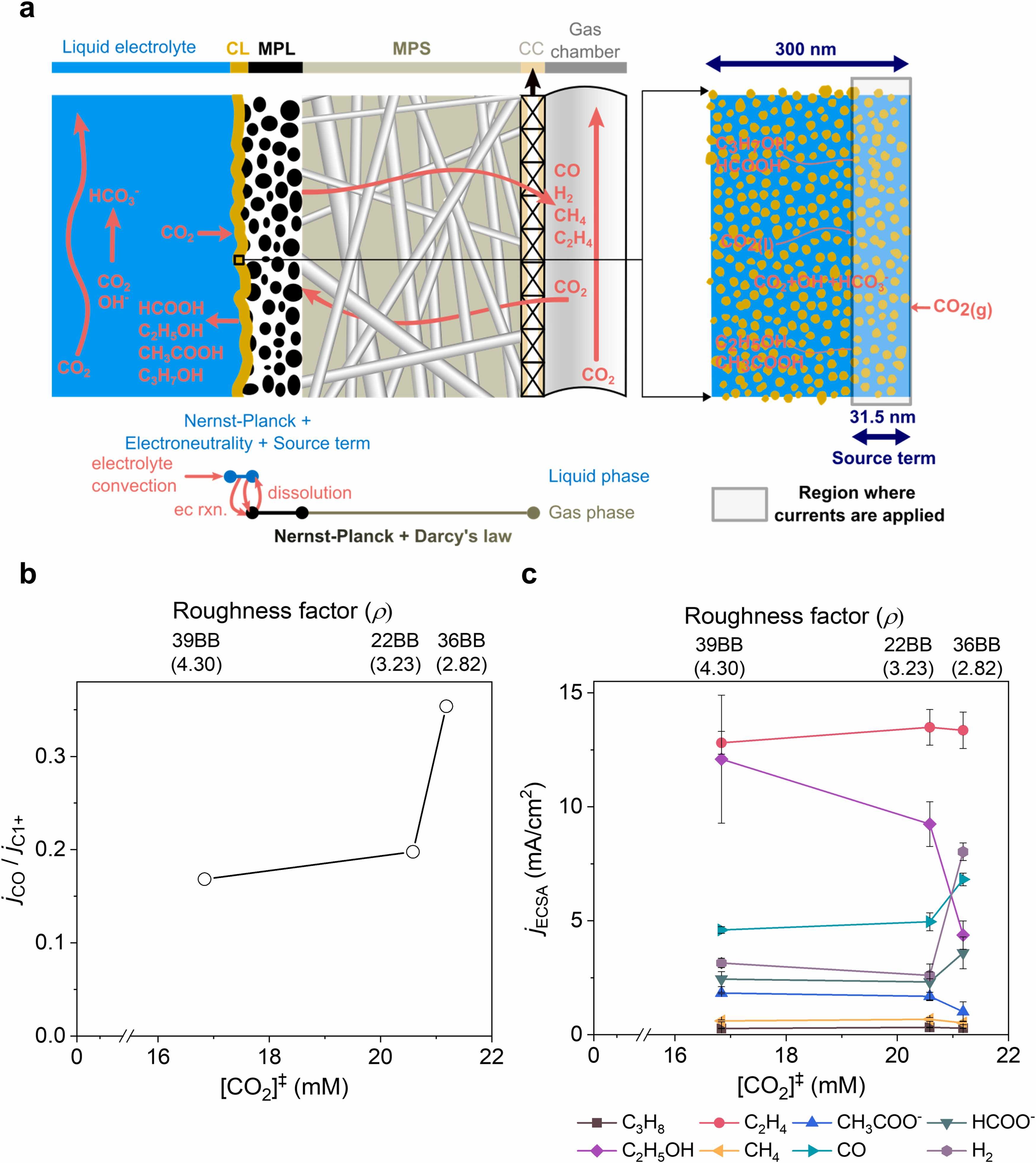Understanding the role of gas diffusion electrodes in steering the CO 2 ...